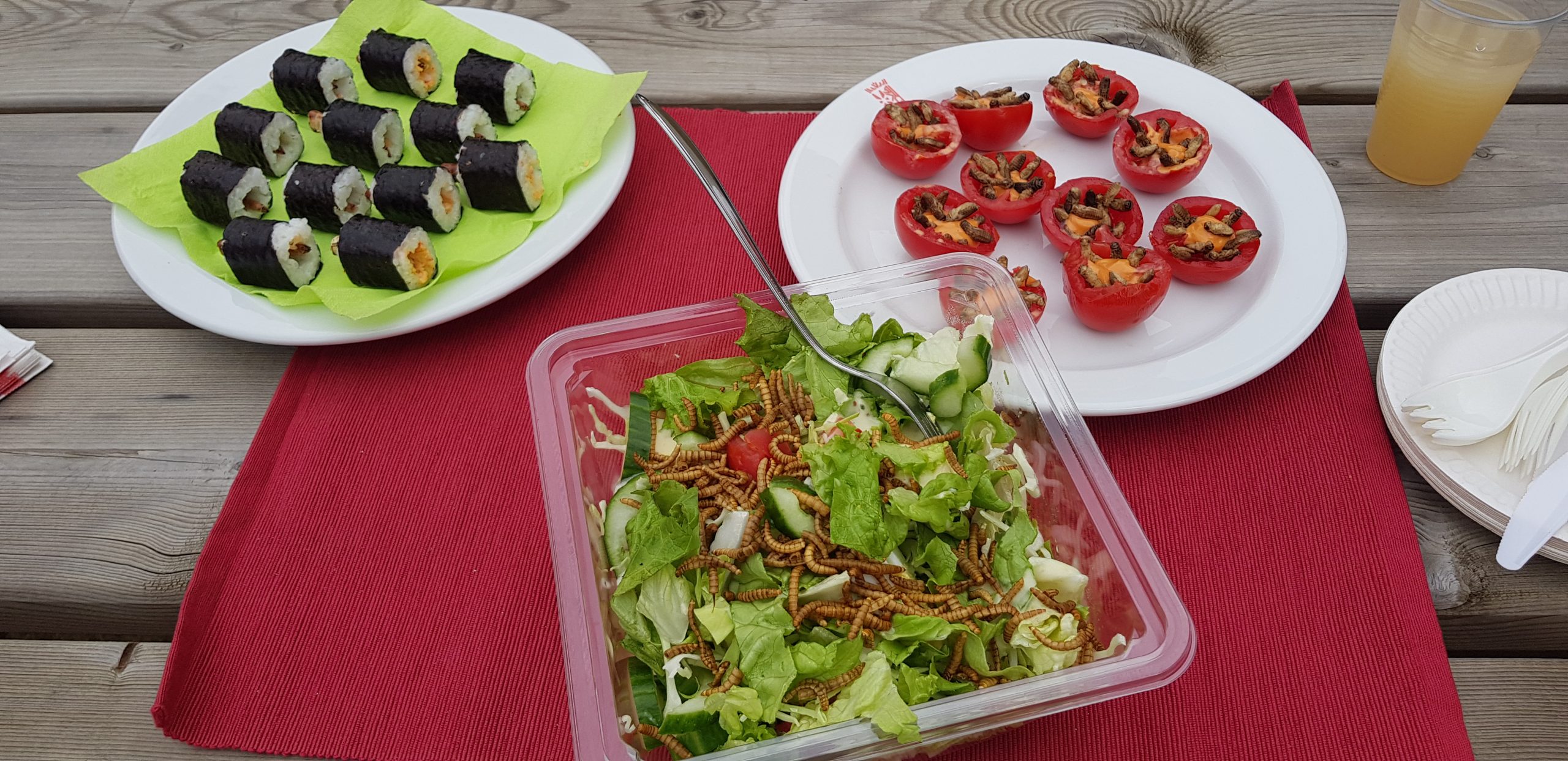 SUSINCHAIN - Nutricycle